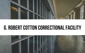G. Robert Cotton Correctional Facility: Programs and Reform